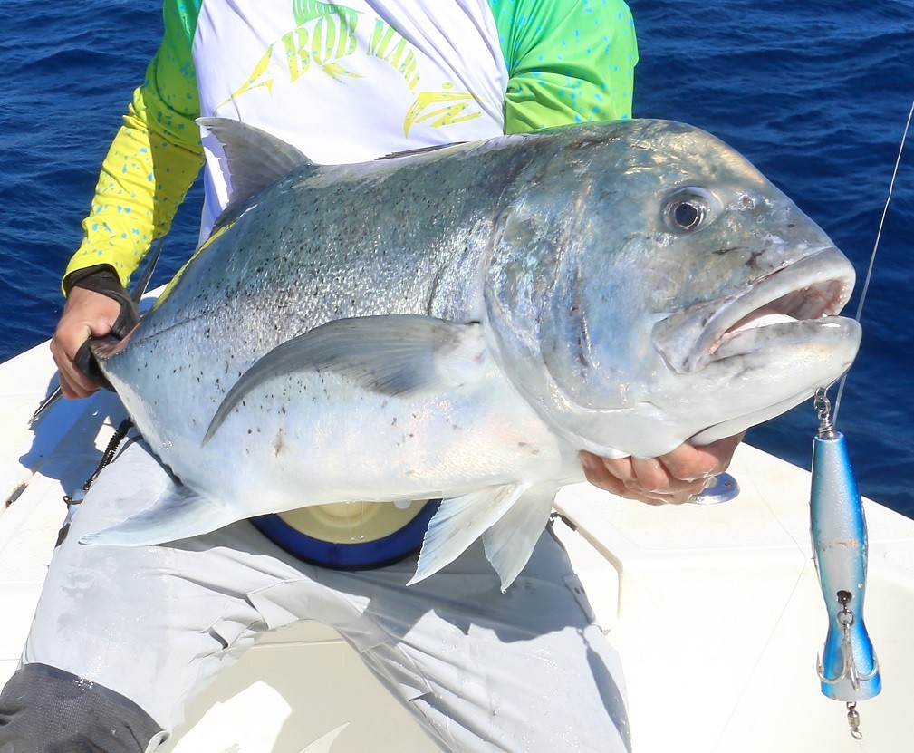 February 2020 Red Sea Tuna Bomb popper Test Trip – Poppers, Vertical ...